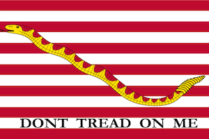 First Navy Jack – Superflag