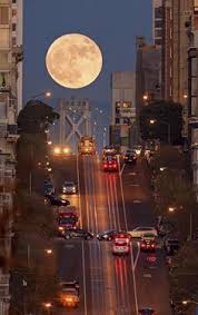 2021 Aquarius Full Moon in Sheep Month - Susan Levitt