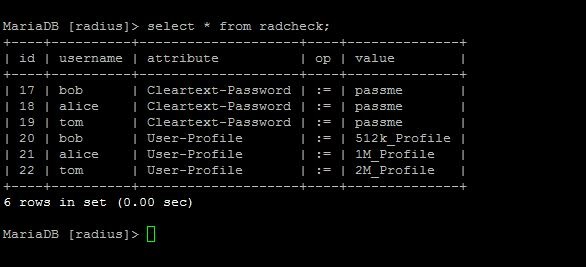 FreeRADIUS User Profile Configuration for MikroTik Router - System Zone