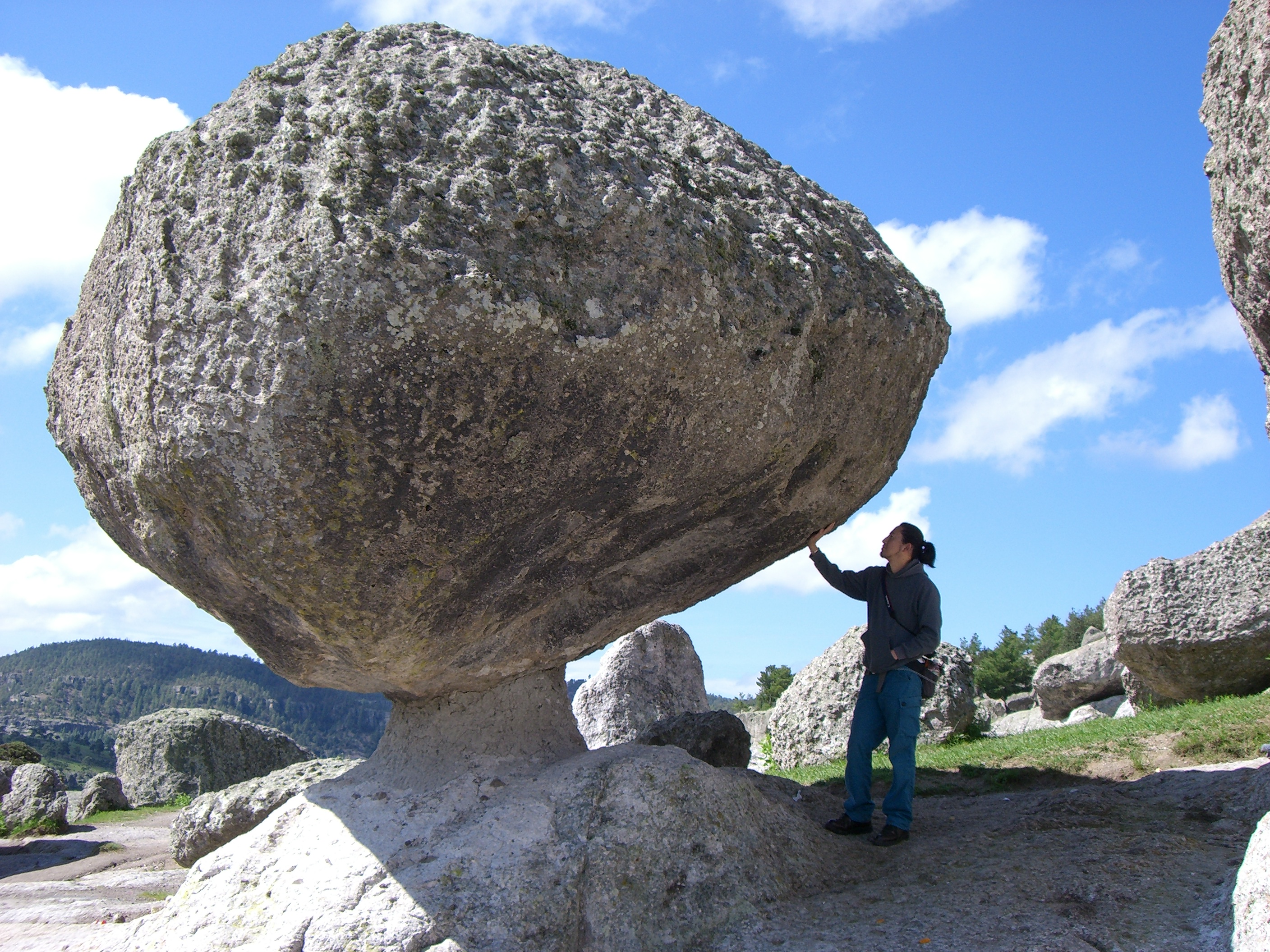 mushroom valley in Mexico | floating in the U.S.