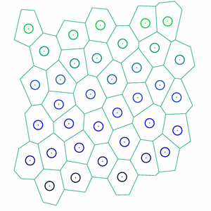 Mechanics of tissue – T. A. Sharp