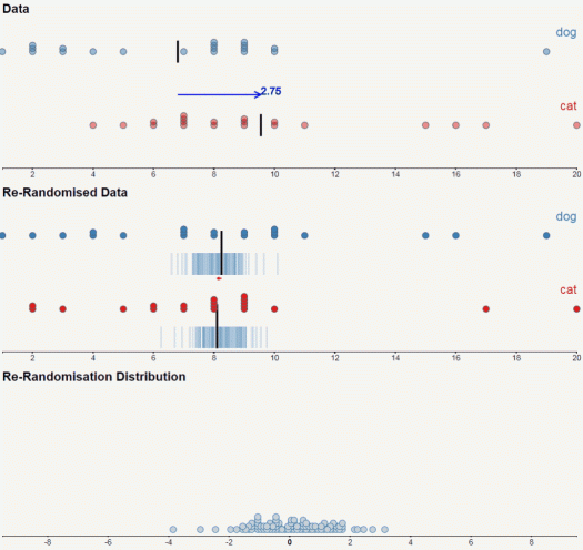 Visualising Bootstrap Confidence Intervals And Randomisation Tests With