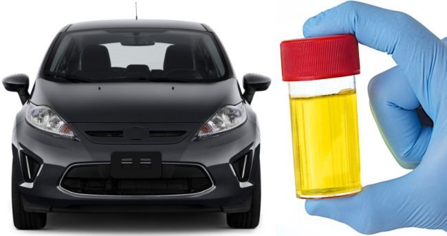 고려대학교, 오줌 촉매를 이용한 연료전지 개발중 – techNeedle 테크니들