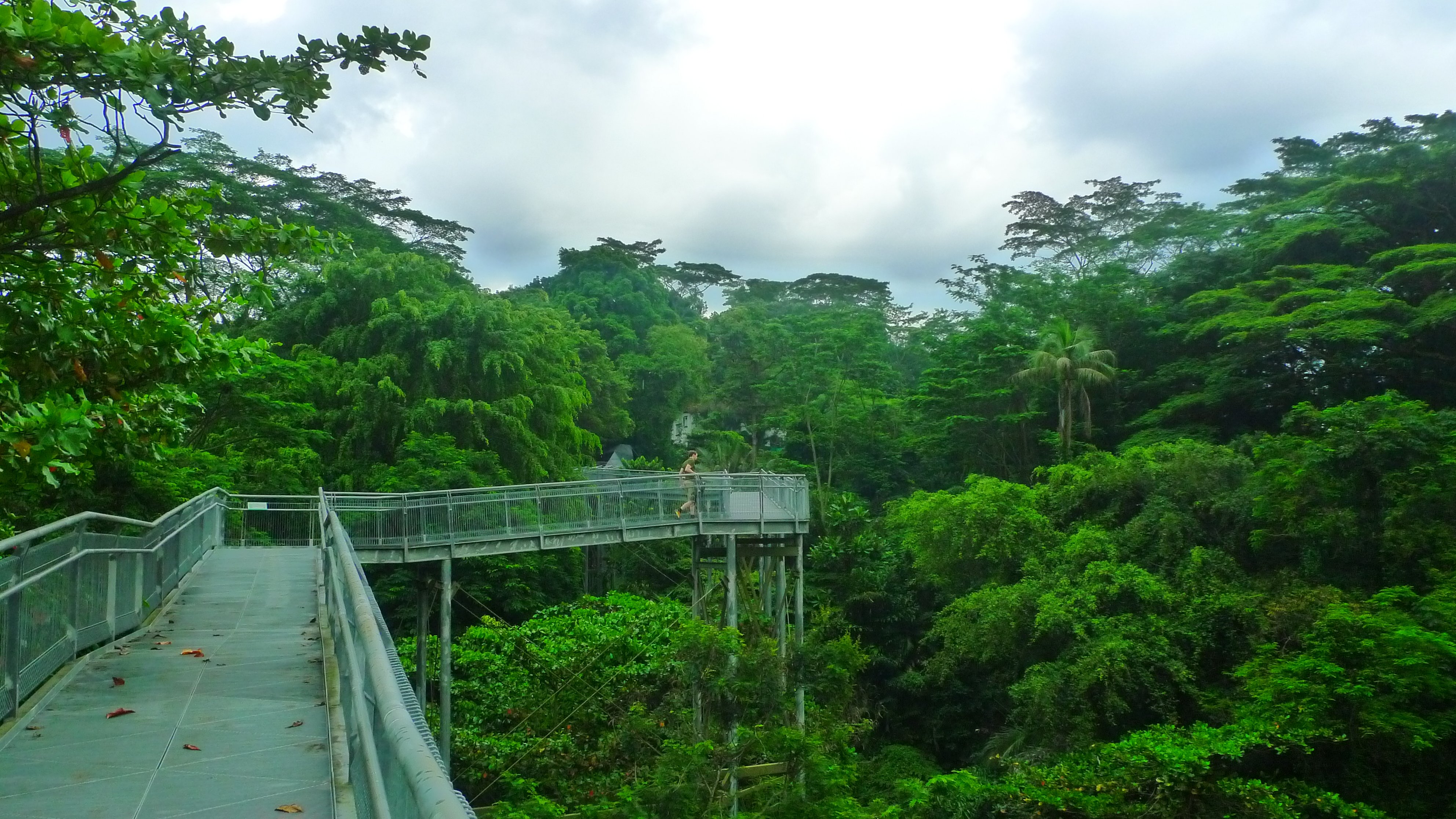 Ten green places to check out in Singapore - The Tender Gardener