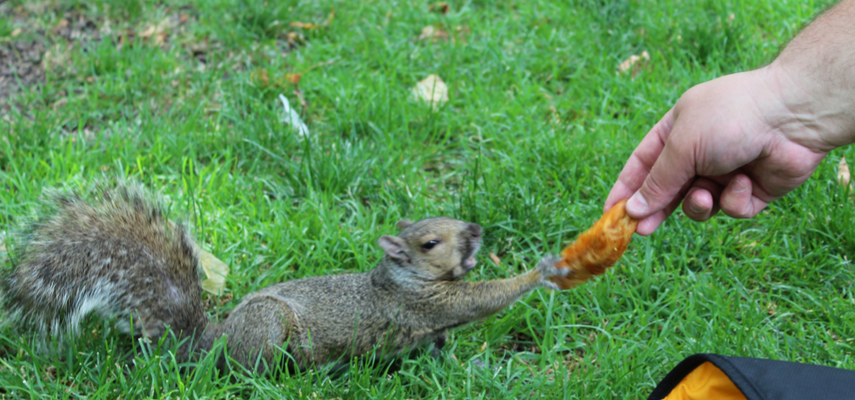 The Difference Between Humans and Animals | TFE Times