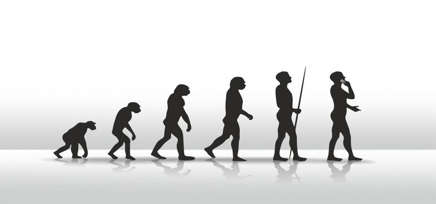 Human Evolution: A Timeline Of The Near And Far Future | TFE Times