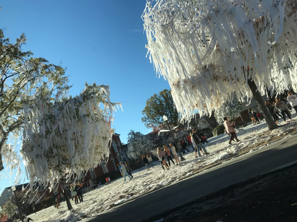 Toomer's Corner tree-rolling tradition is back after 6 years | The Bama ...