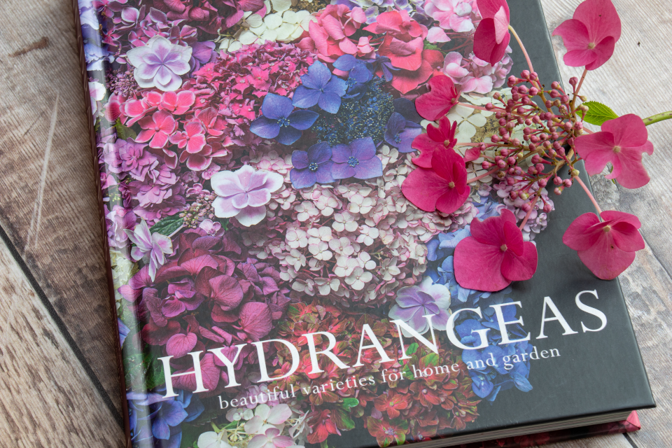 Review: Hydrangeas by Naomi Slade - The Chatty Gardener