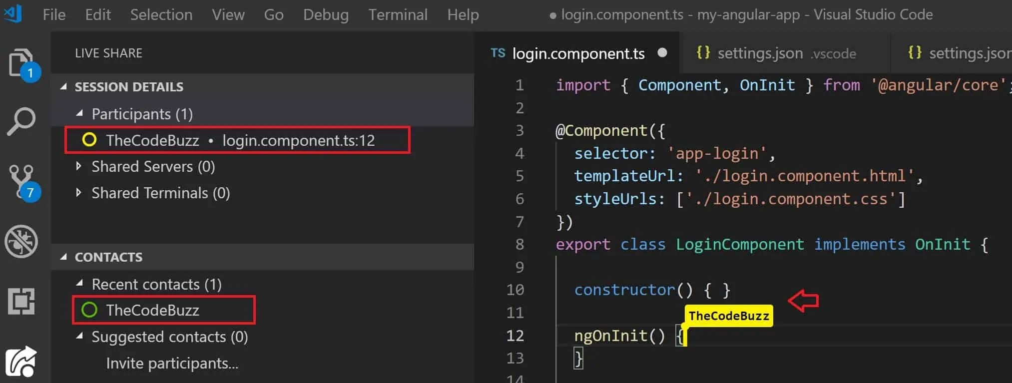 Paired Programming and Collaboration - Visual Studio Live Share ...