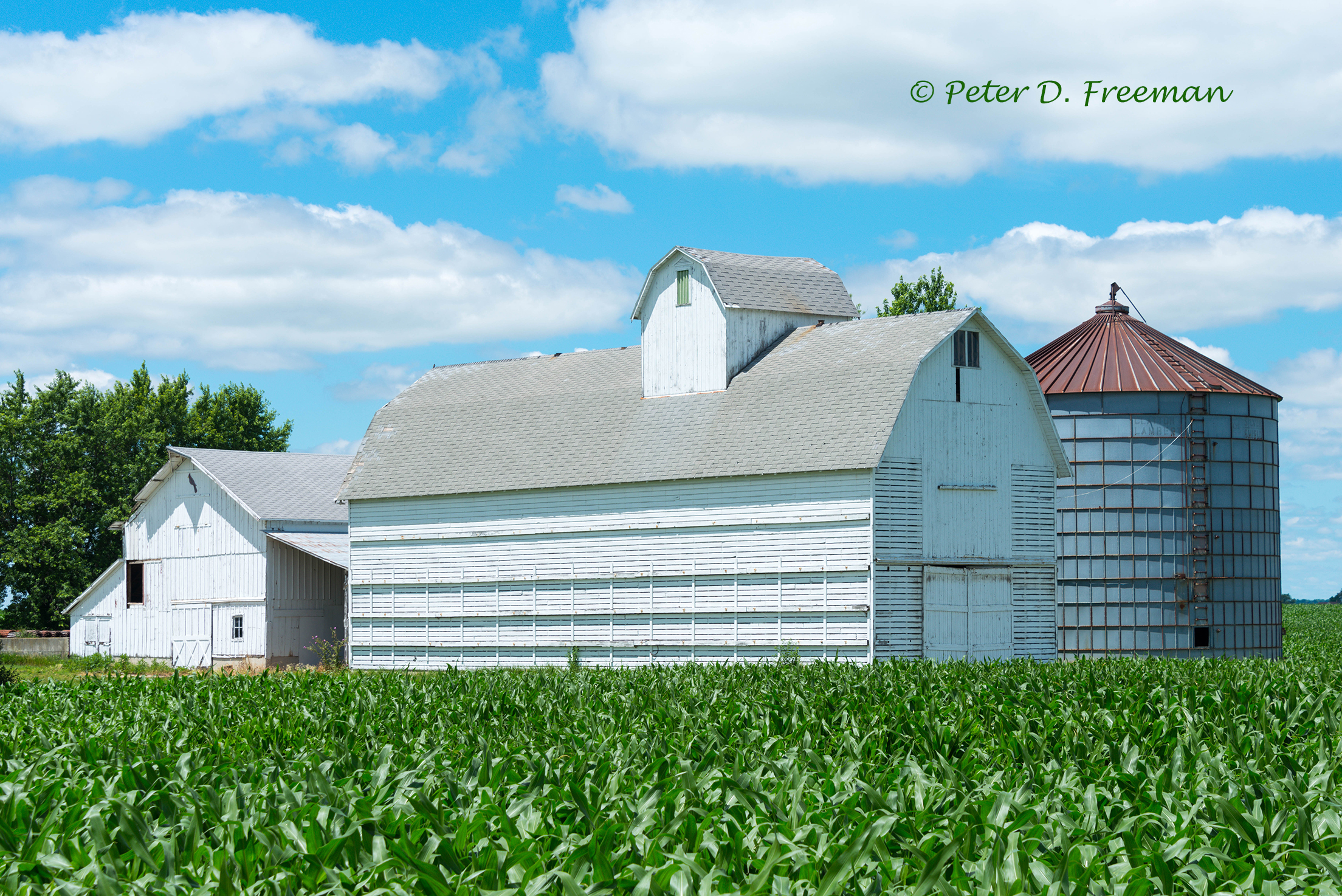 farms Archives - The Elemental Eye | Peter Freeman