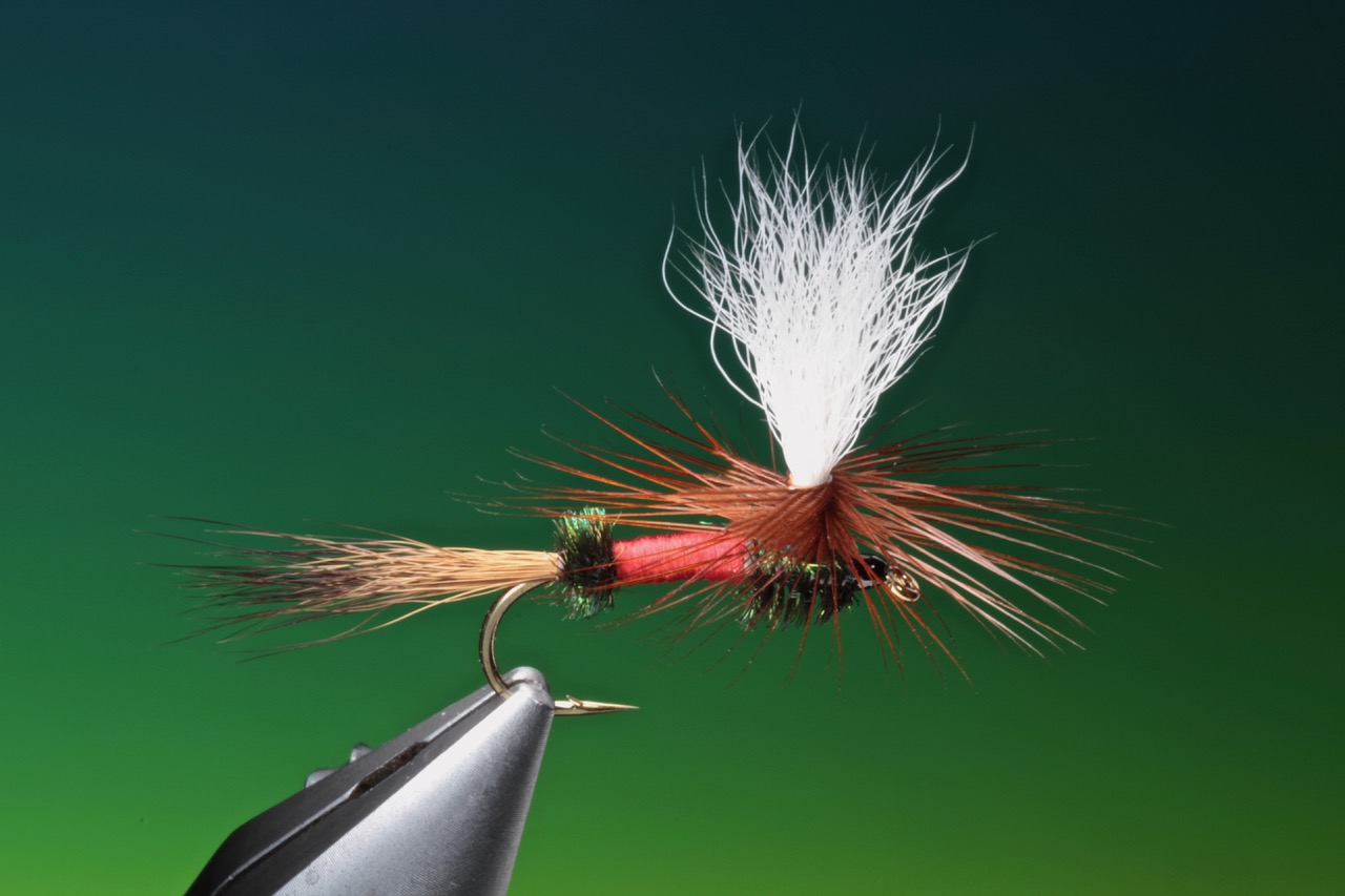 Parachute Royal Wulff dry fly