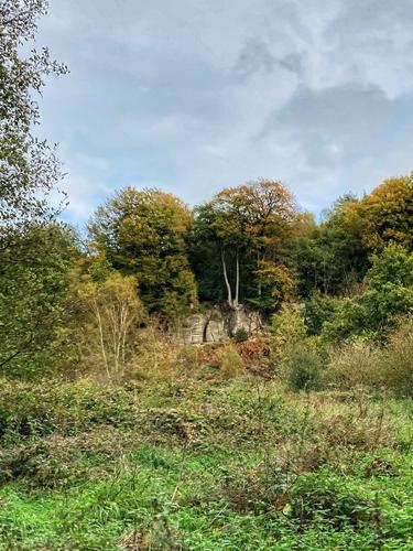 Harrisons Rocks Walk & Eridge Circular - Guide & Map - The Flamingo Hiker