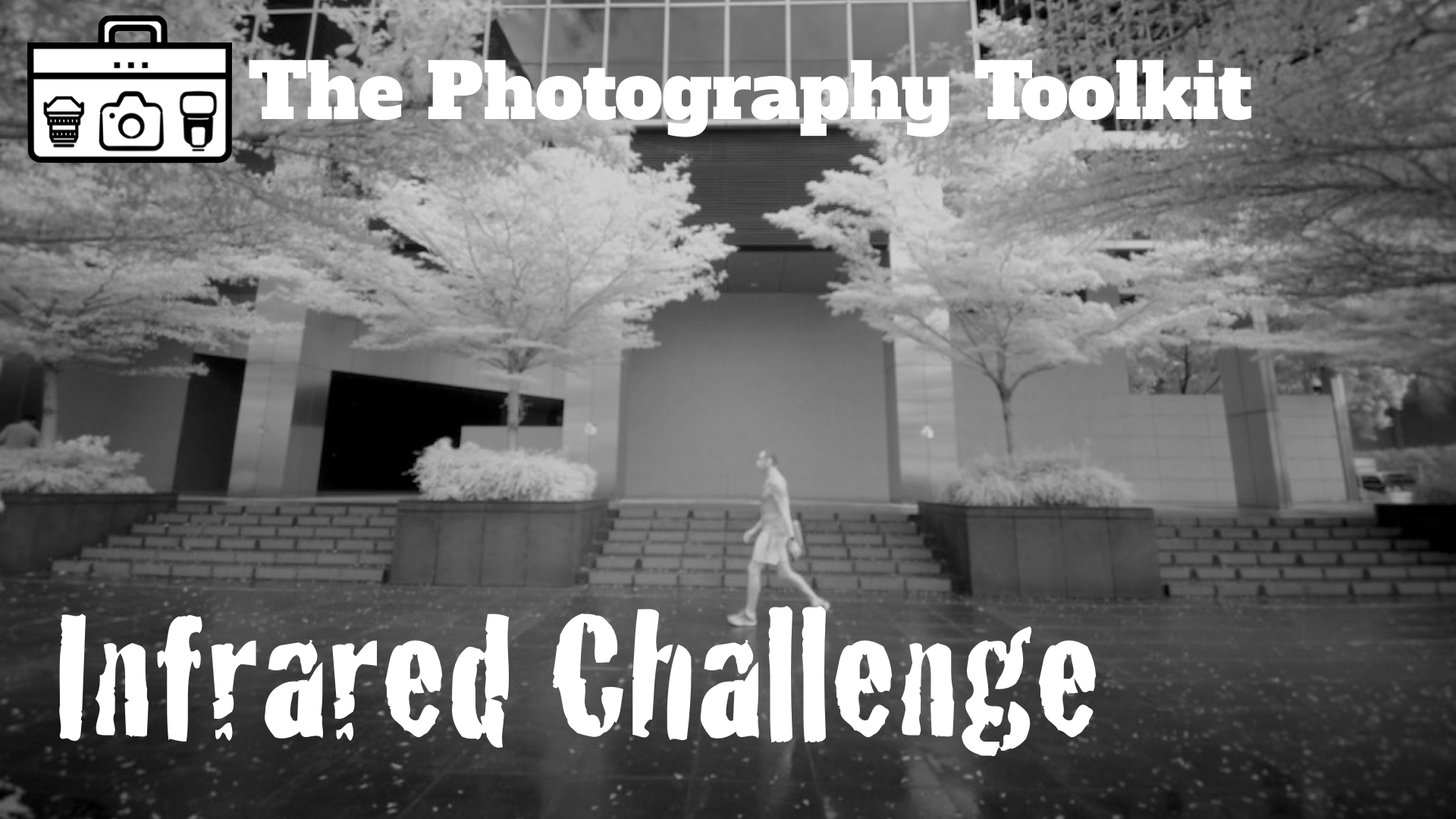 Explore a whole new world with Infrared Photography - The Photography ...