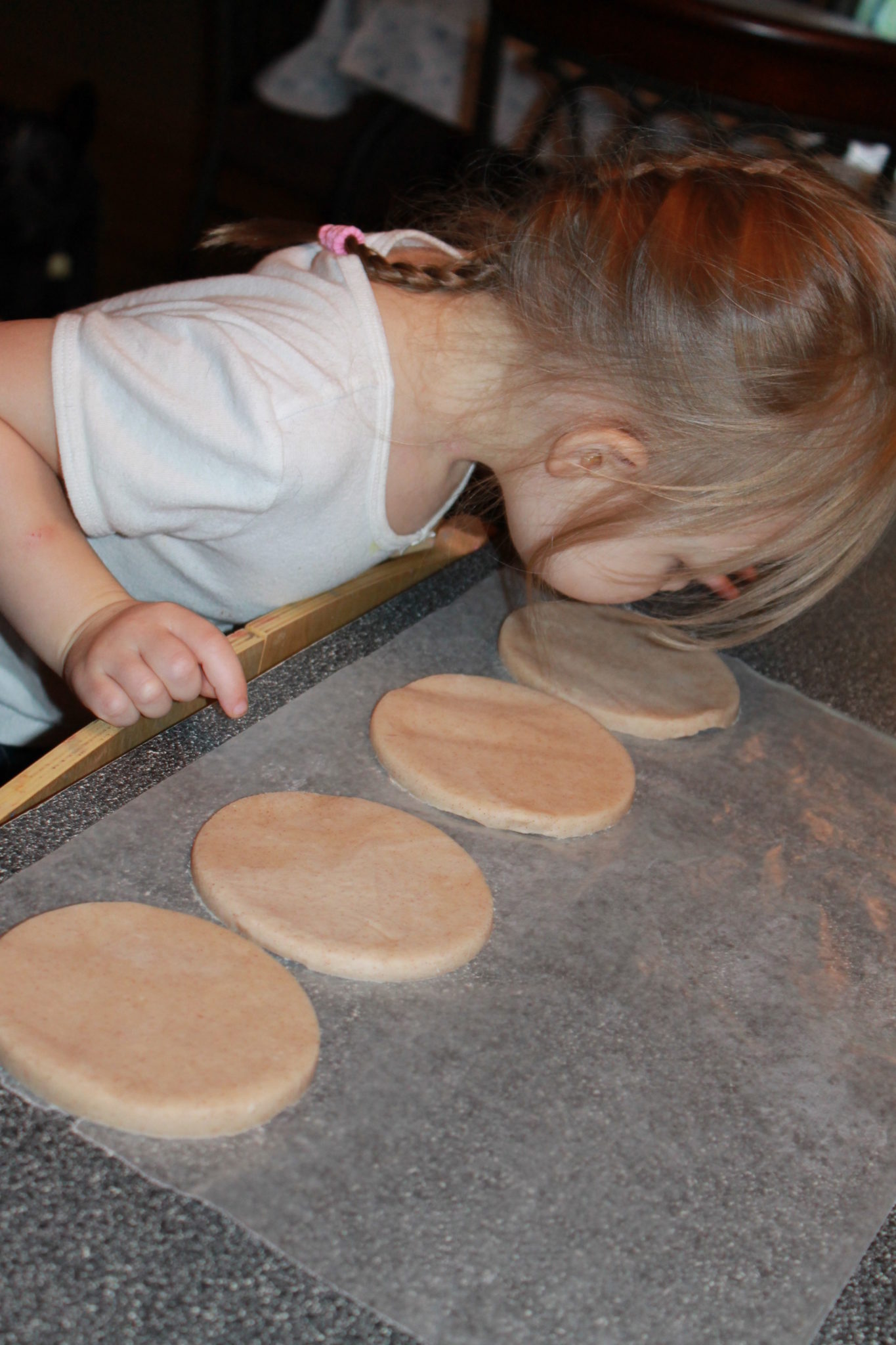 Paper Plate Play Dough Nature Island – The Pinterested Parent