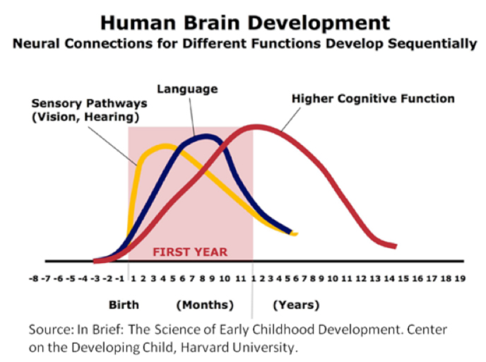 Early Intervention and Neuroplasticity in Children - The Radiant Spectrum