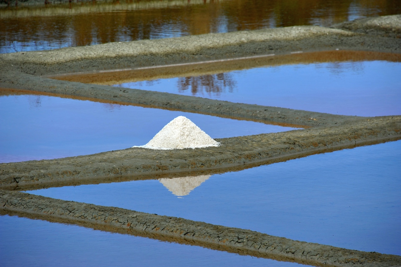 Postcard from Île de Ré - The Sequinist
