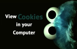How to View Cookies in your Computer