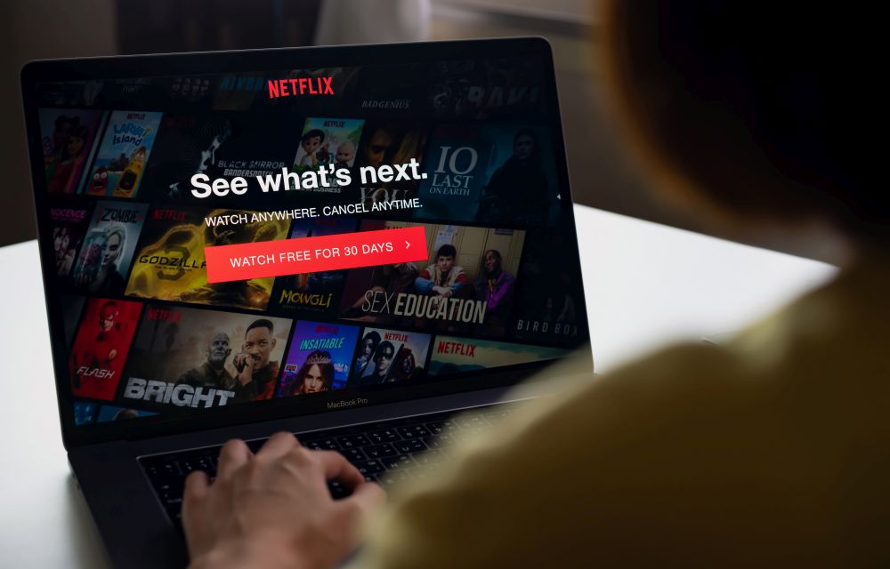 Instantwatcher is a better search option for Netflix database