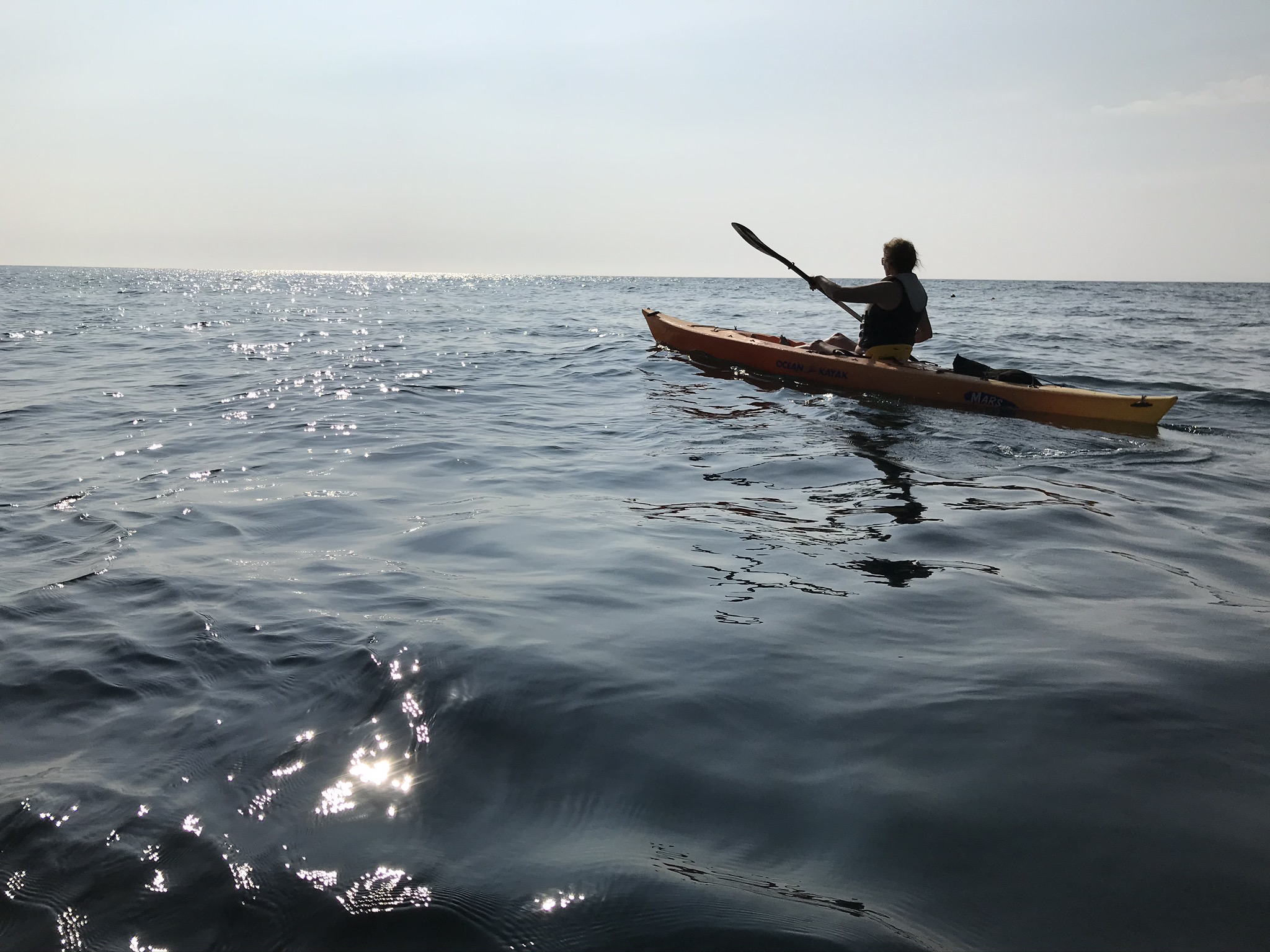 My Mission and the plan - The Van Traveller