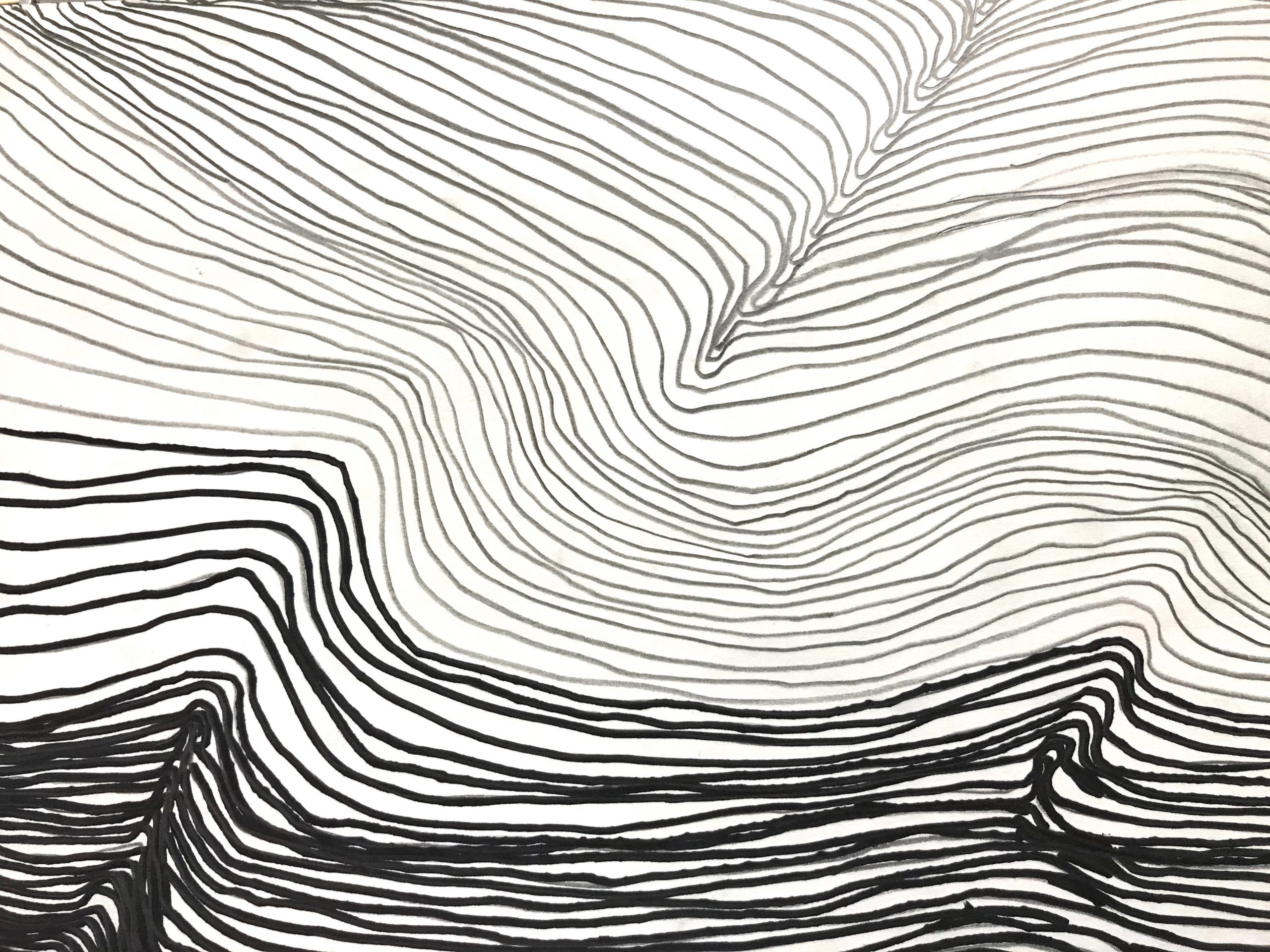 Optical Illusion-Jet - The Wolf School