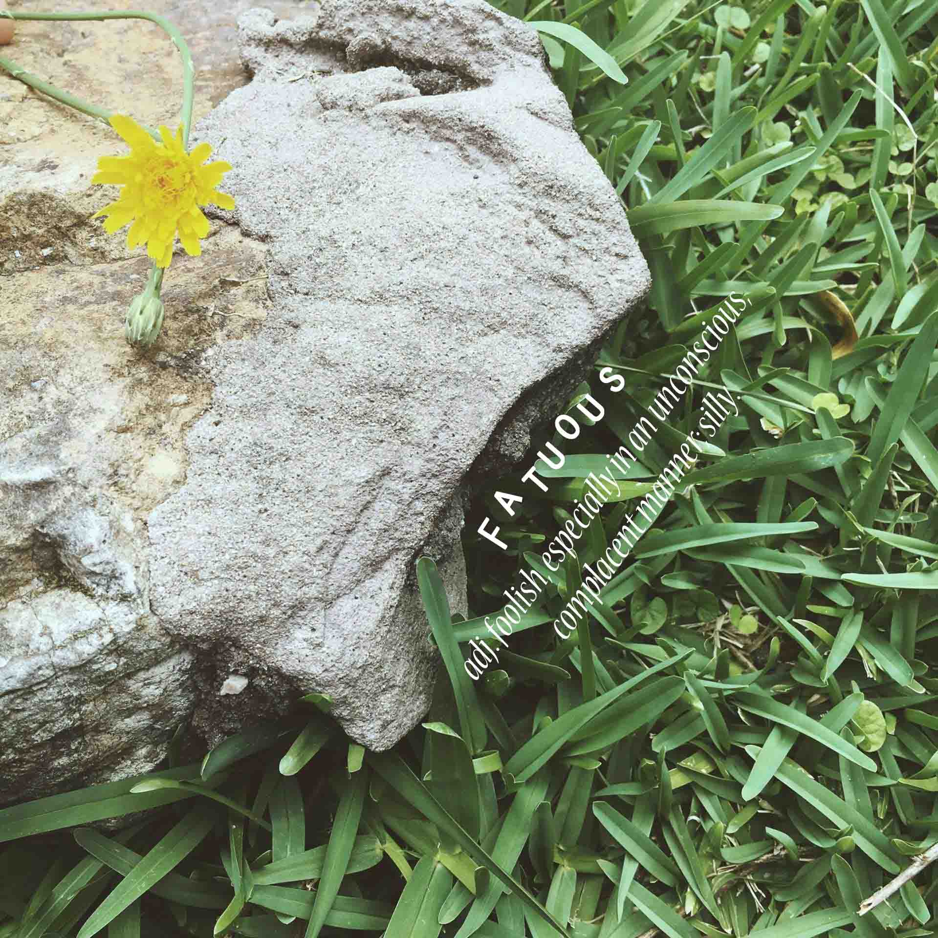 12 Strange Words to add to your vocabulary this NaNoWriMo