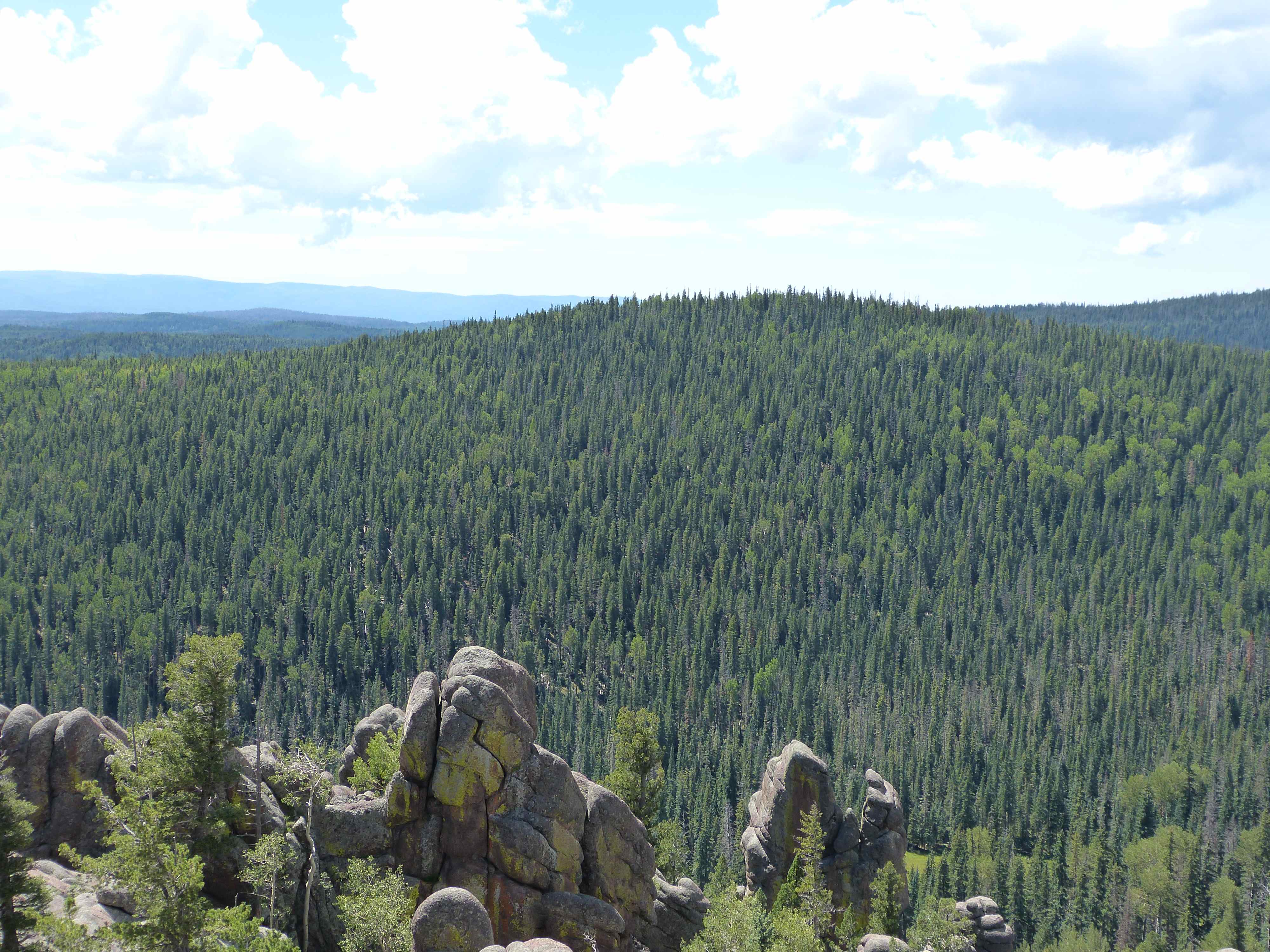 A Hike along Mount Baldy Trail – Thirdeyemom