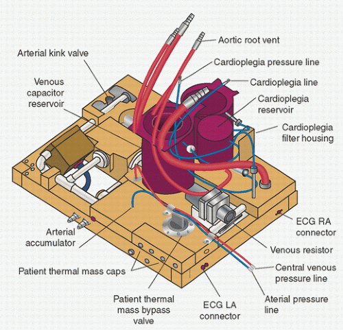Blood Pumps, Circuitry, and Cannulation Techniques in Cardiopulmonary ...