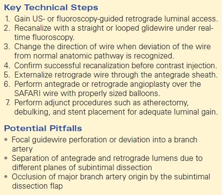 PVOD (Subintimal Recanalization—SAFARI) | Thoracic Key