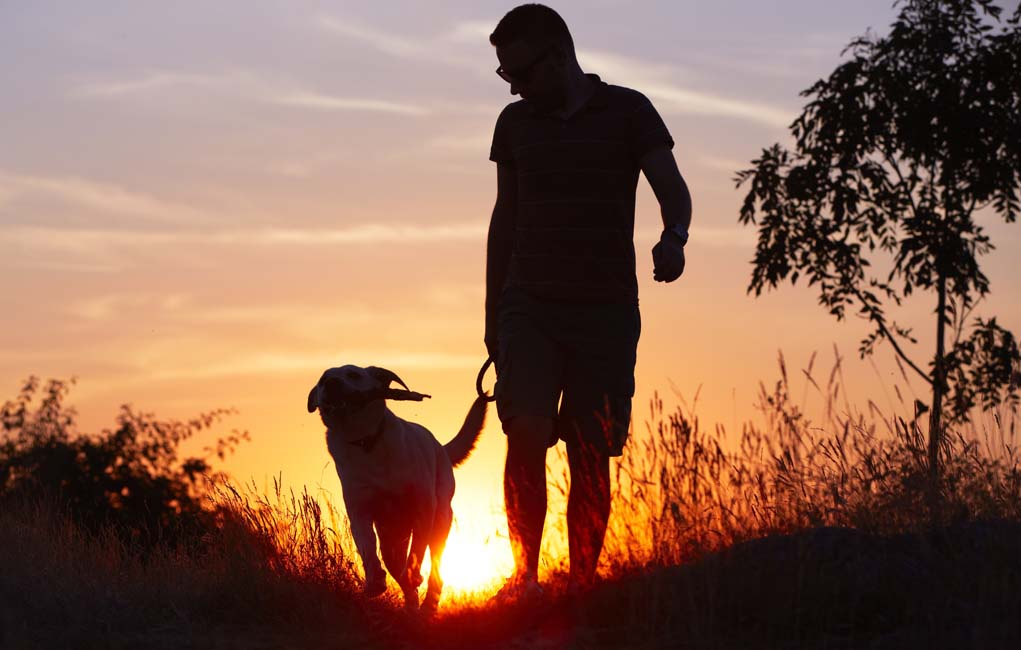 Interview: Creating An Easy Way To Help Animals In Need – Top Dog Tips