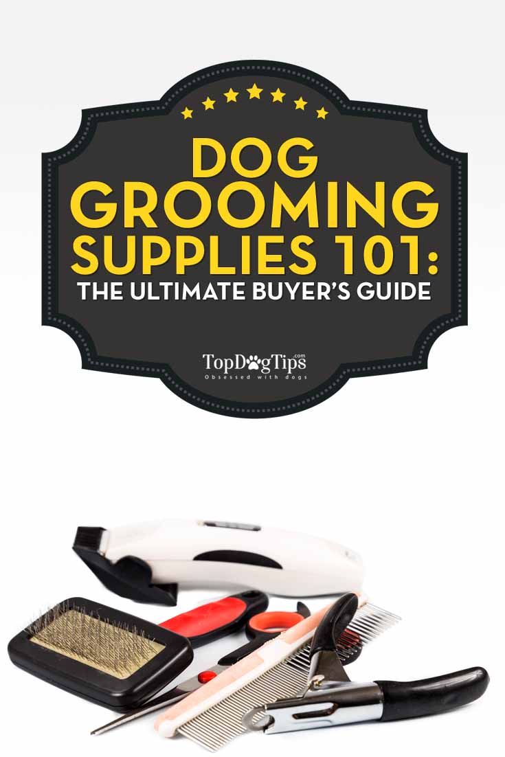 Dog Grooming Supplies 101 The Ultimate Buyers Guide Top Dog Tips dog-grooming-supplies-101-the-ultimate-buyers-guide-top-dog-tips