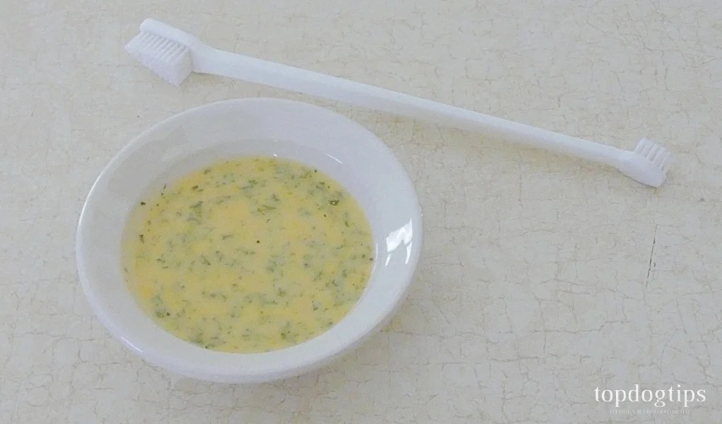 How to Make Dog Toothpaste That's Natural & Effective (Easy DIY Guide)