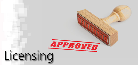Licensing Services Offered | Branding & Marketing Strategy