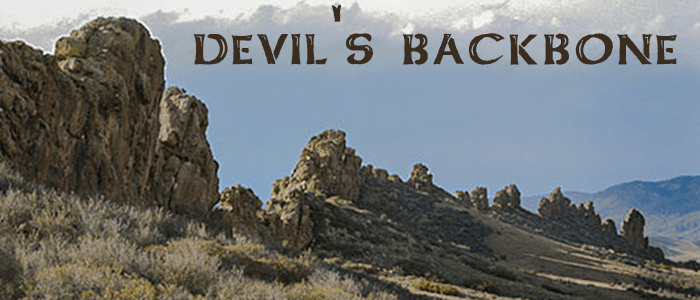 Habitat: Envrionments – Bland