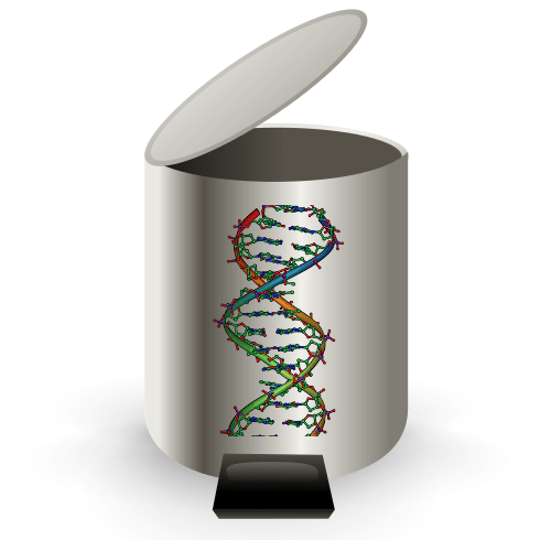 junk DNA - Truth Snitch