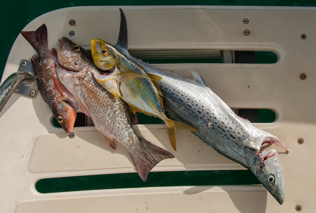 Grenada Fish Fry – July 1-2, 2013 | Tusen Takk II