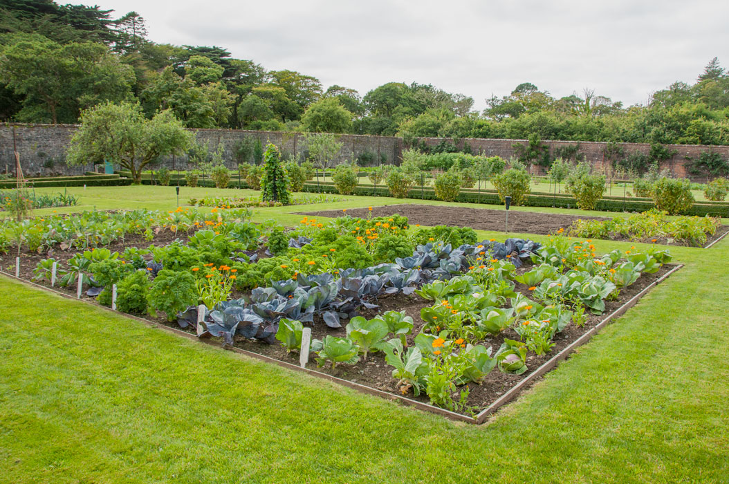 Killasser Church | Tusen Takk II