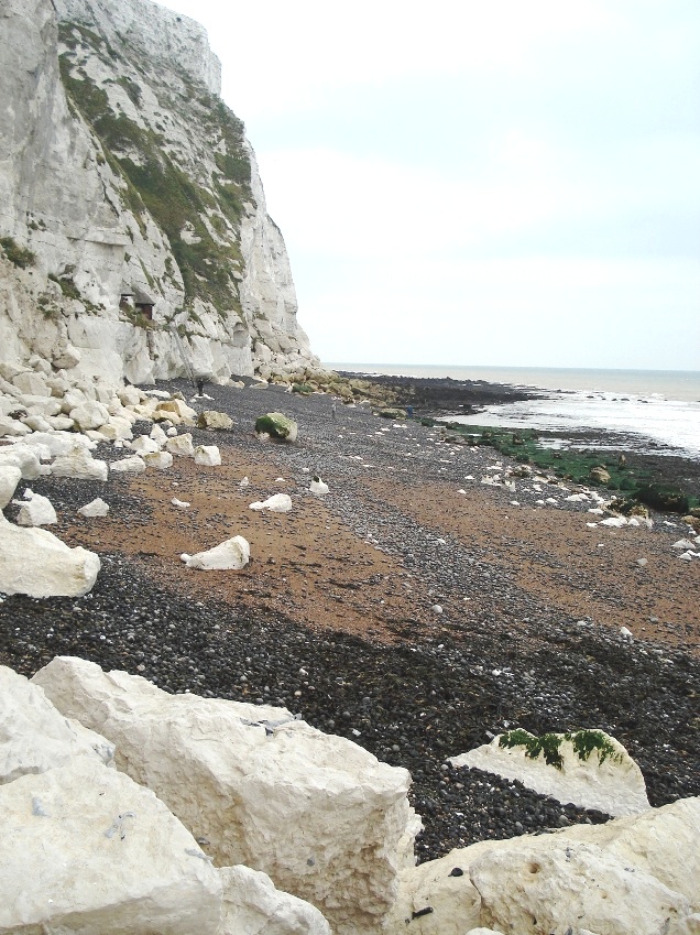 Dover – UK Fossil Collecting