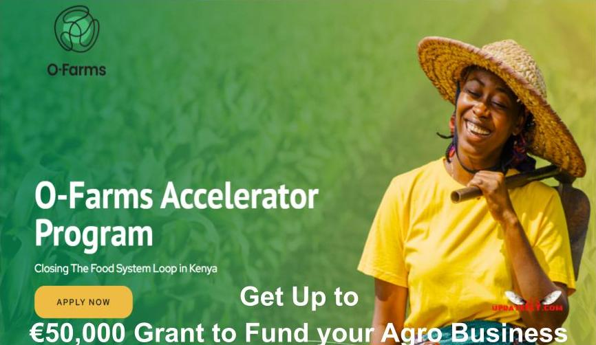 O-Farms Accelerator Program 2021 for Kenyan Agribusiness Apply Now to Get Up to €50,000 Grant