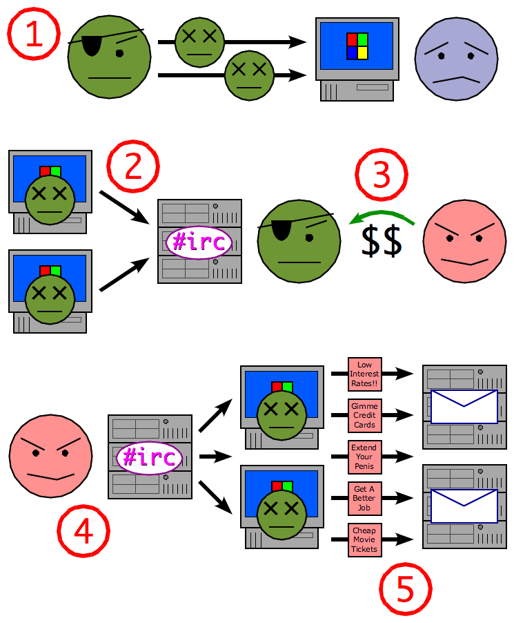 Your Botnet is My Botnet: Analysis of a Botnet Takeover | Ckrim's Blog ...