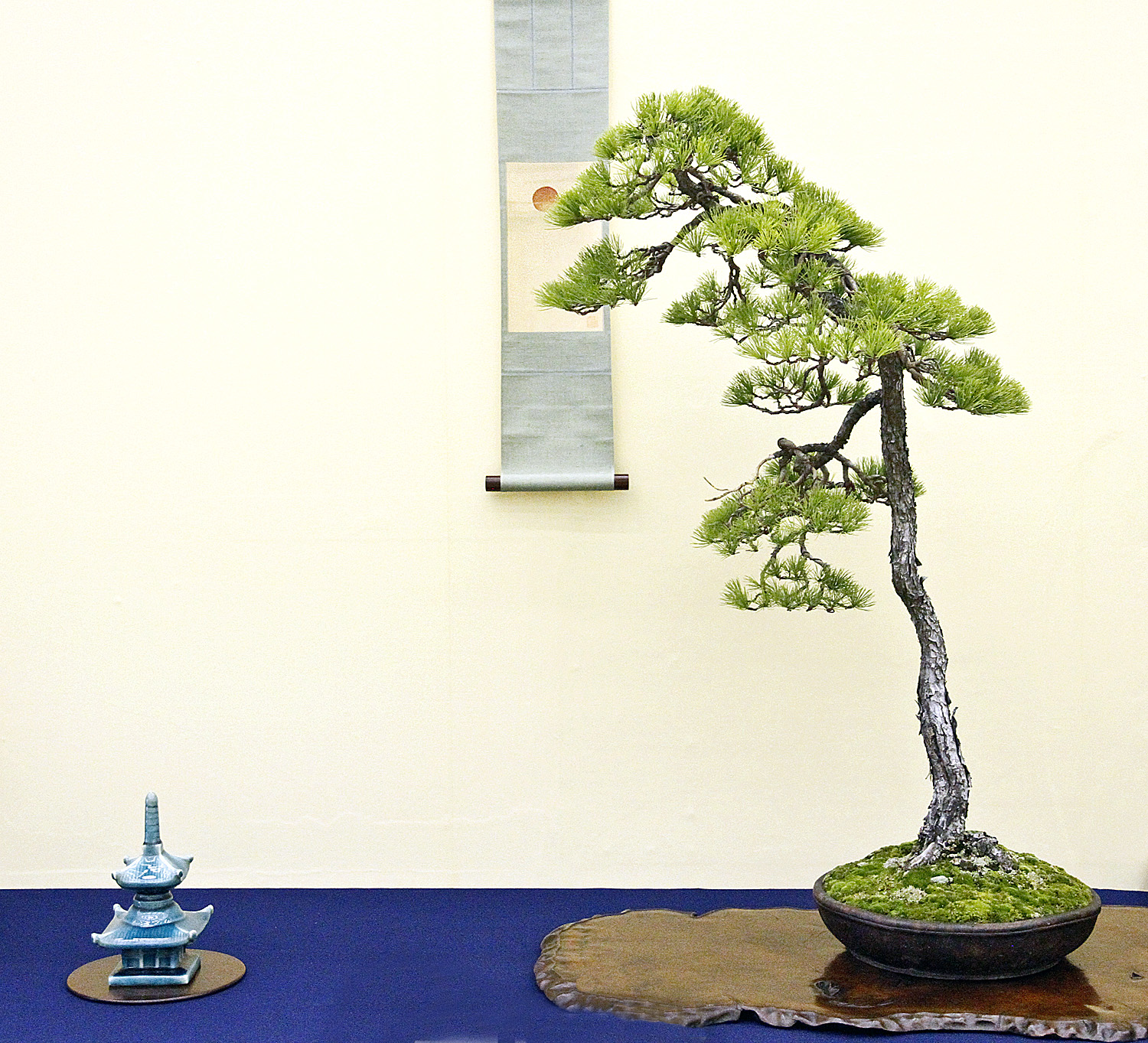 Japan International Bonsai Tour Exploration– Autumn 2013, Part 3 ...