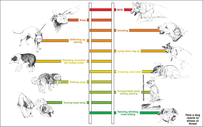 The Ladder of Aggression | Veterian Key