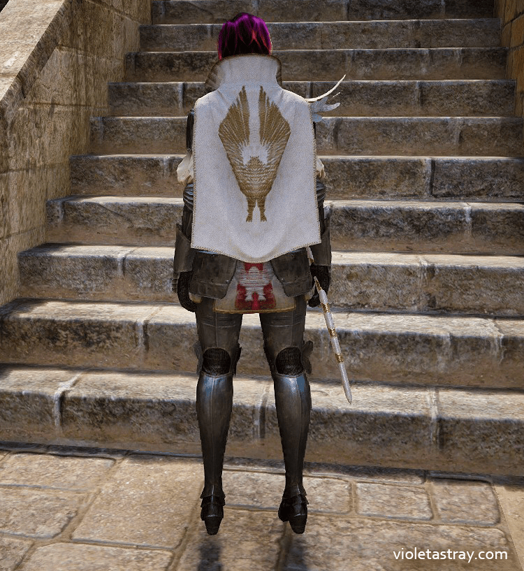 BDO Costumes You Can Craft In-Game! – Violet Astray
