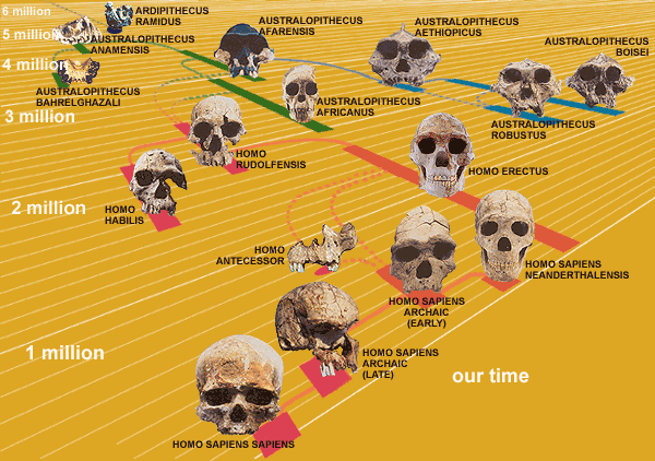 Brazil’s Mapinguari