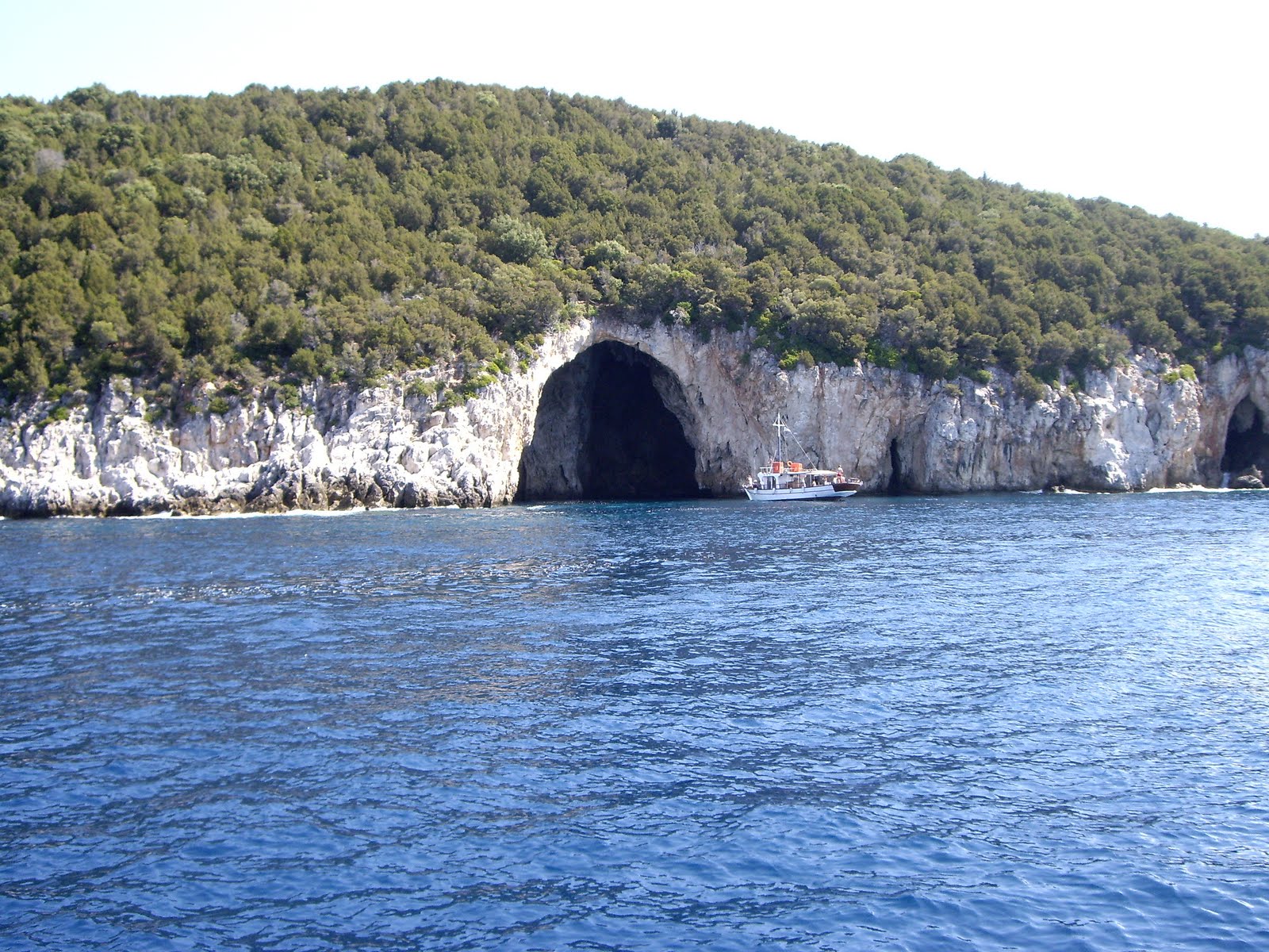 The Mystery Animal of Corfu