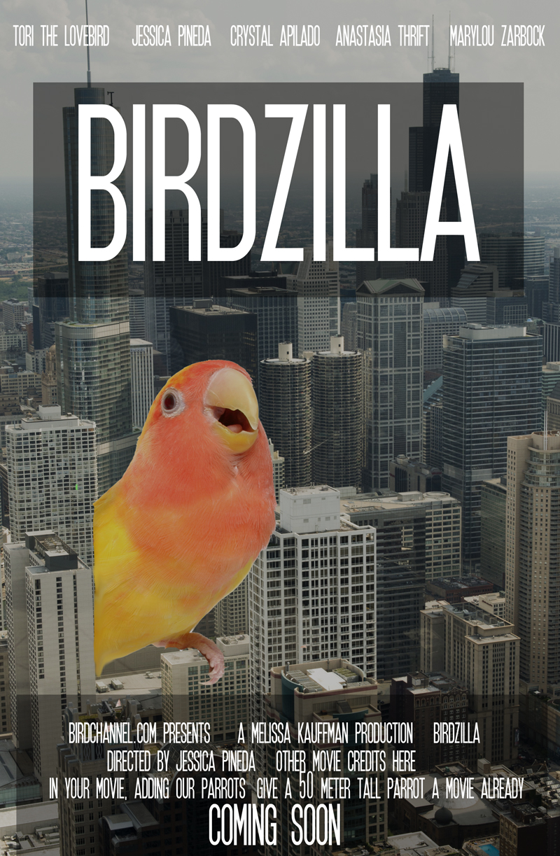 Giant Black Birds in Alabama – Mystery Solved?