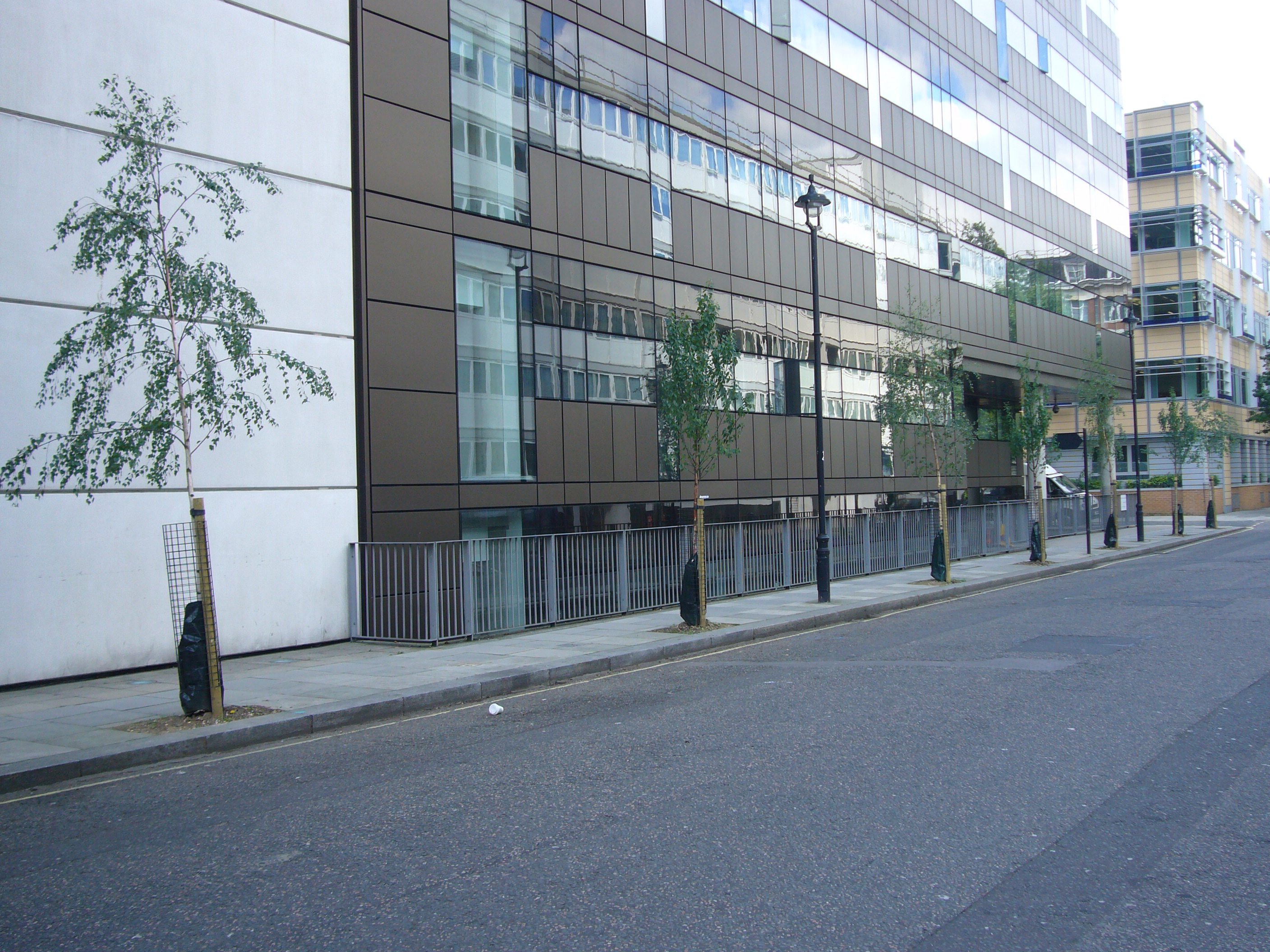 The W1W Tree Planting Initiative for Marylebone | A community effort to ...