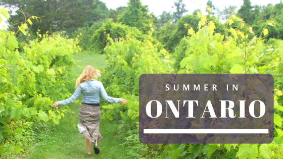 Summer in Ontario — Wanderdolls