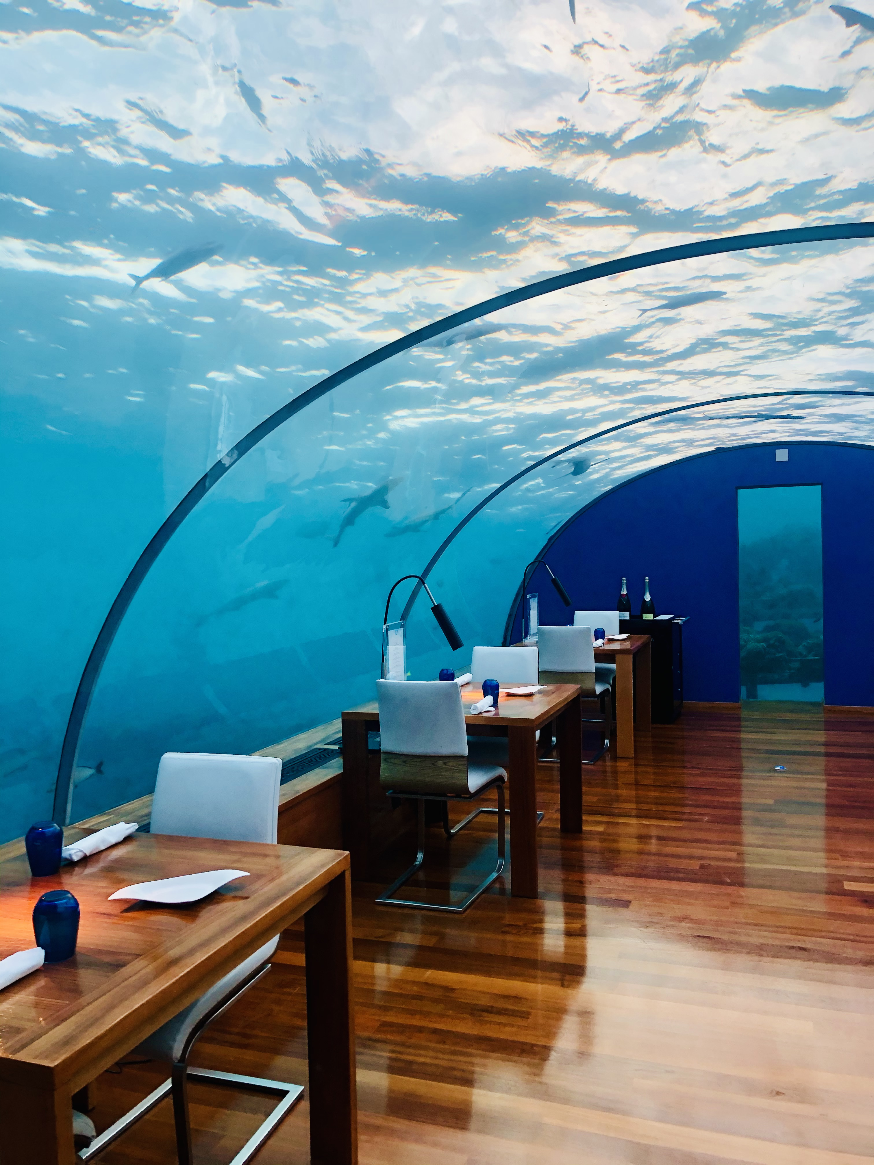 Ithaa, an Underwater Restaurant in the Maldives! - wareontheglobe