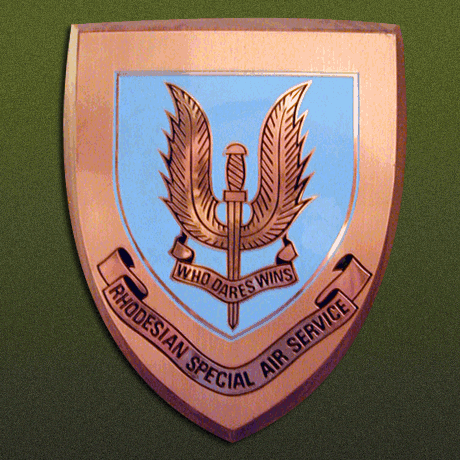 (RHDOTH0100) Rhodesian SAS Plaque - Warstore