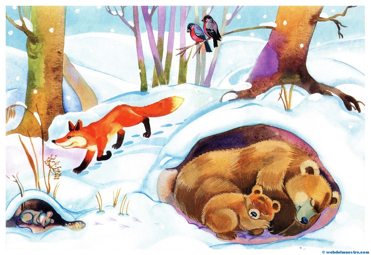 Imágenes educativas | El otoño - Las estaciones del año - Web del maestro